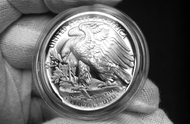 Proof Palladium Eagle Takes Market By Storm